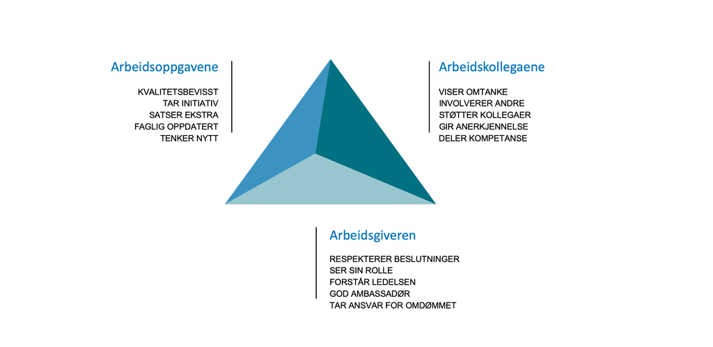 Plan Norge trengte en tydeligere strategi - Lederne