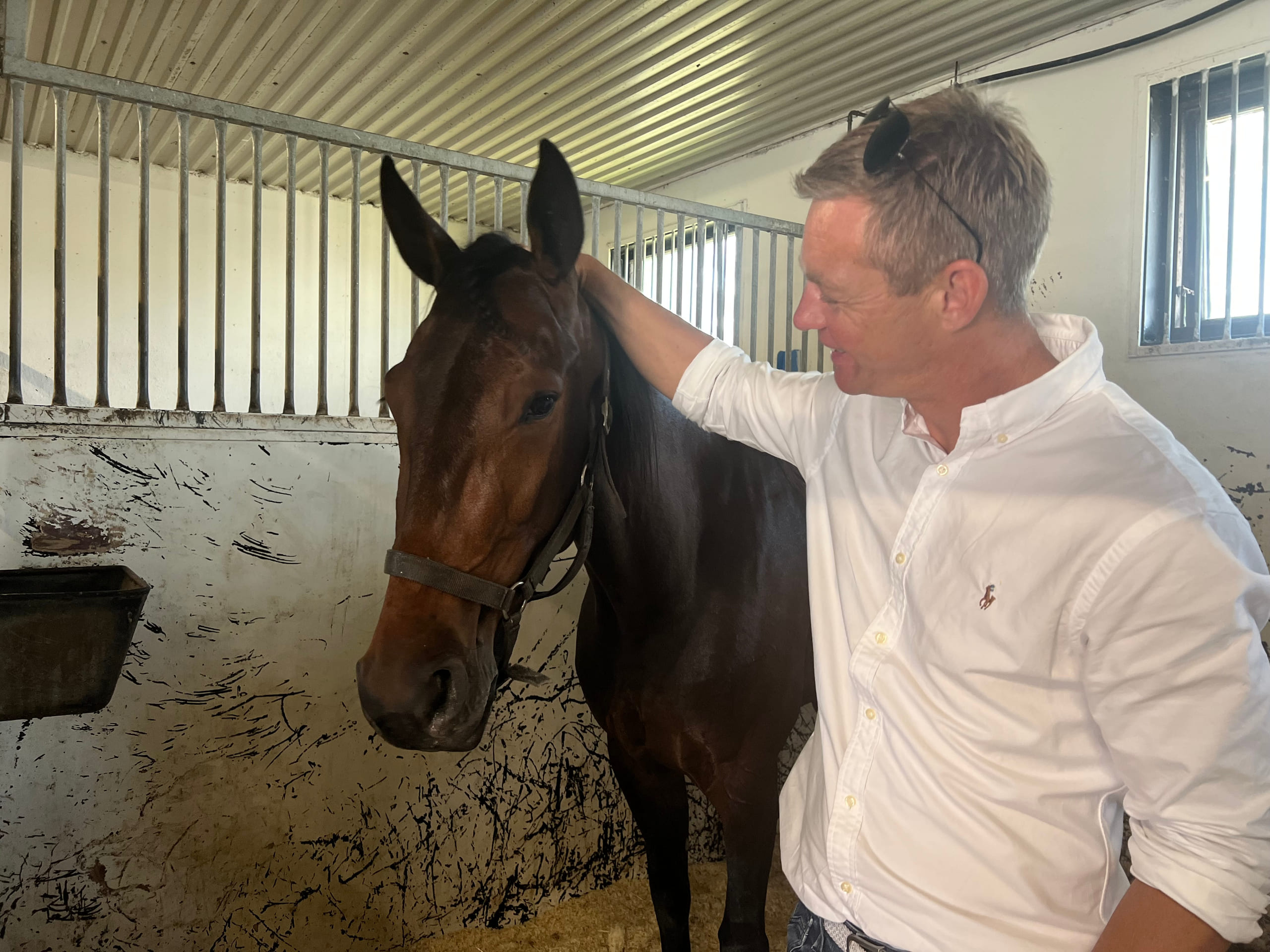 3-årshoppa skifter eier, ble med ny trener hjem - TGN