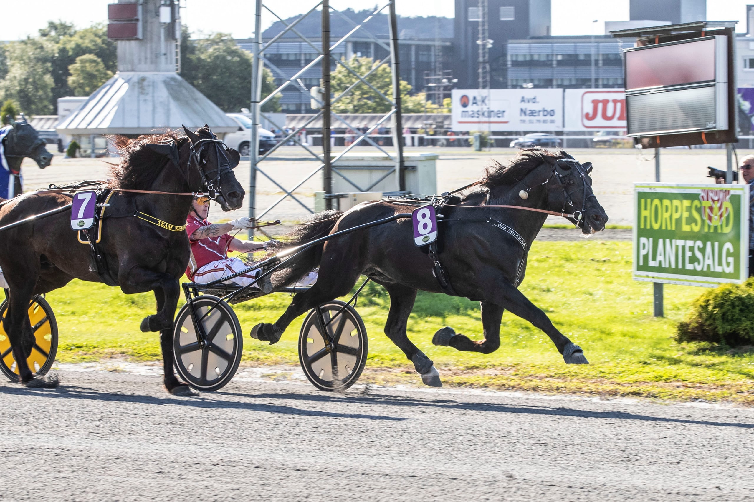 Han vant egentlig greit - TGN